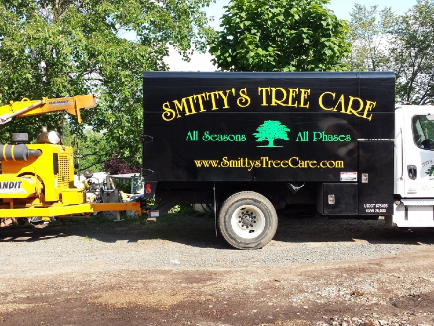 Tree Pruning & Trimming Services | Roswell, Alpharetta & Milton, GA ...