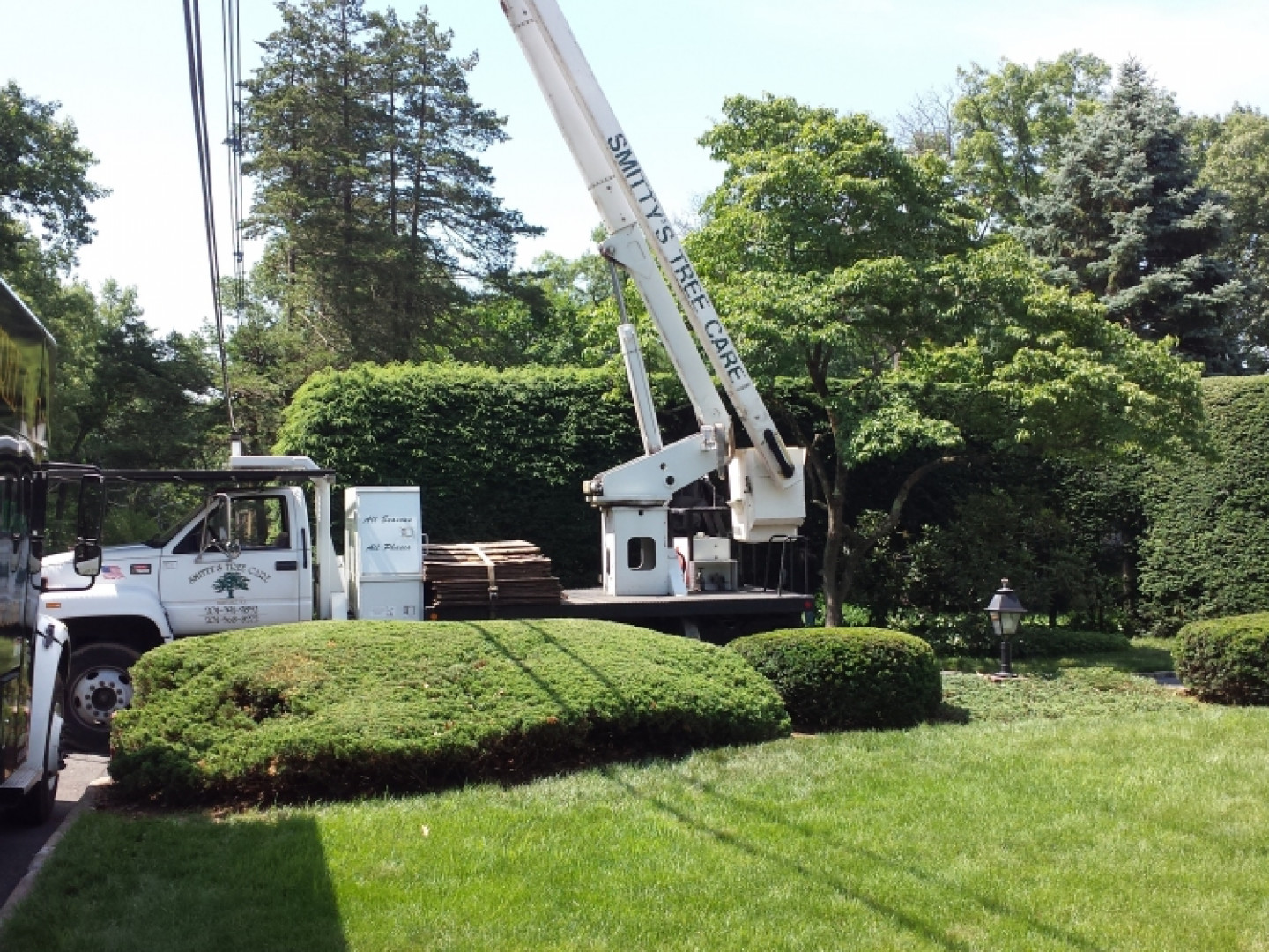 Tree Removal Services | Roswell, Alpharetta & Milton, GA | Smitty's ...